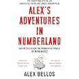 Alexs Adventures In Numberland: Bellos, A.: 9781408809594: Amazon.com ...