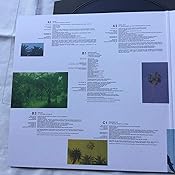 Funk Wav Bounces Vol.1 [VINYL]: Amazon.co.uk: Music