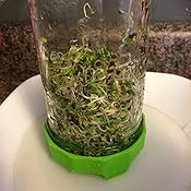 Masontops Bean Screen Plastic Mason Jar Sprouting Lids for Wide Mouth ...
