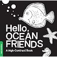 Amazon.com: Hello, Ocean Friends: A Durable High-Contrast Black-and ...