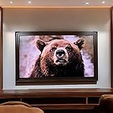 Amazon.com: 55 Inch TV frame for Hisense Canvas TV. Real wood frame ...
