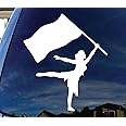 Amazon.com: CMI301 Color Guard Car Window Vinyl Decal Sticker 5" Wide ...