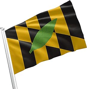 Amazon.com : Calvert County Maryland 3x5 feet Flag Banner Vivid Color ...