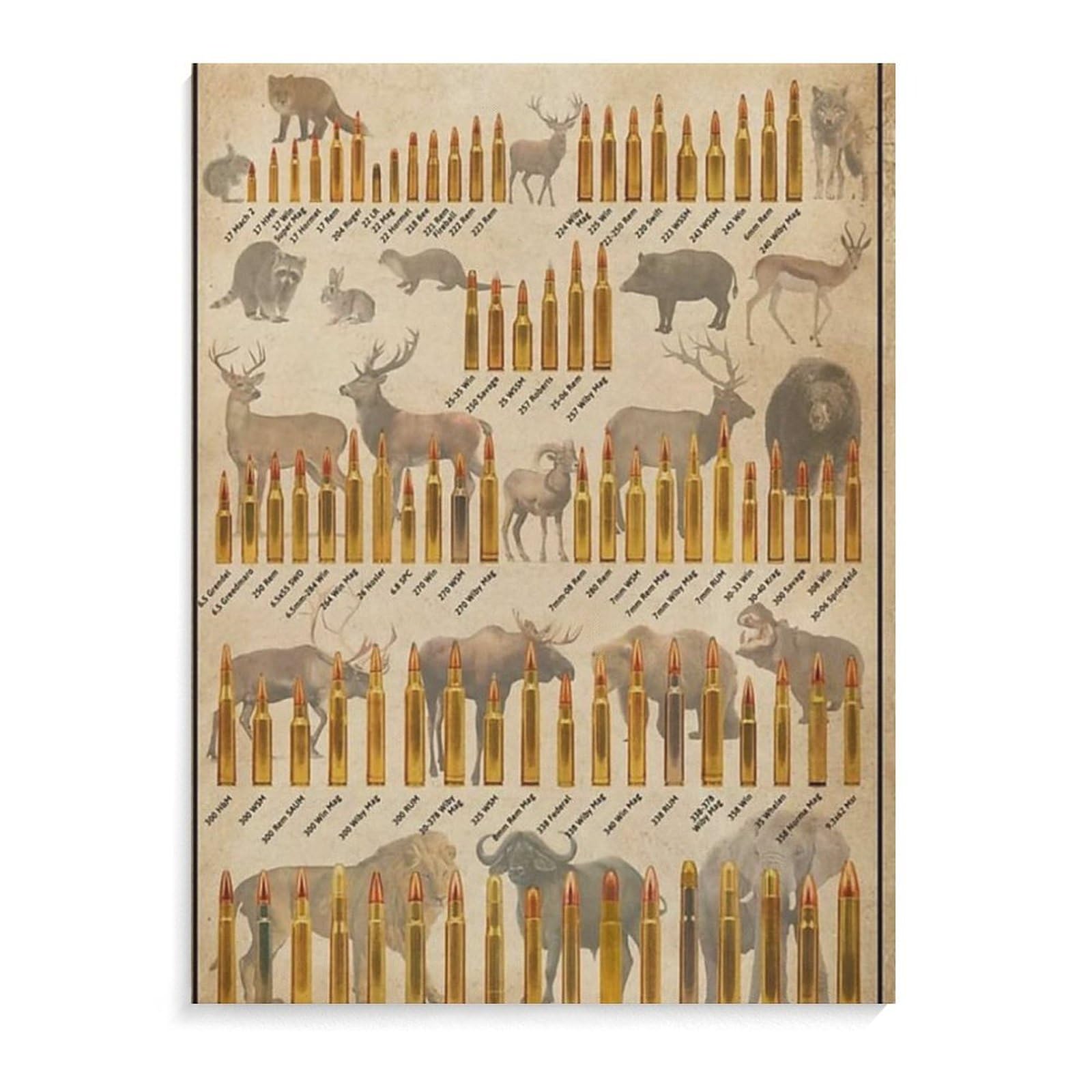 U.S. Bullet Head Chart Poster Bullet Caliber Type Poster Military ...