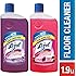 Lizol Disinfectant Floor Cleaner Floral, 2 L: Amazon.in: Health ...