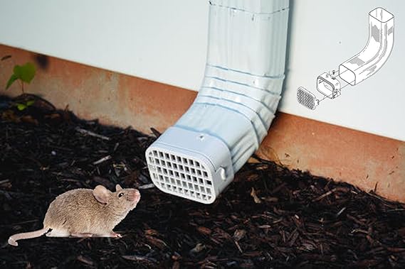 Massca Rodent Guard 2x3 Inch. Protect your home Against Rodents and ...