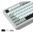 Amazon.com: Womier Shine Through Keycaps, PBT Keycaps 60 65 75 100 ...