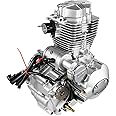 Amazon.com: 200cc 250cc ATV Engine Motor Kit 4-Stroke Assembly Single Cylinder Air-Cooled ...
