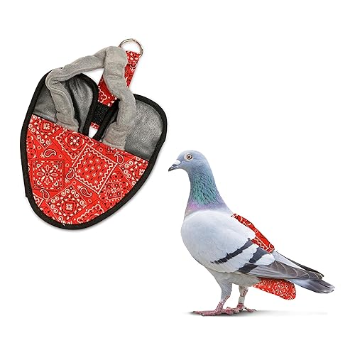 Hen Holster Bird Diaper, Wrap Around, for Pigeons, Small Breed Hens and ...