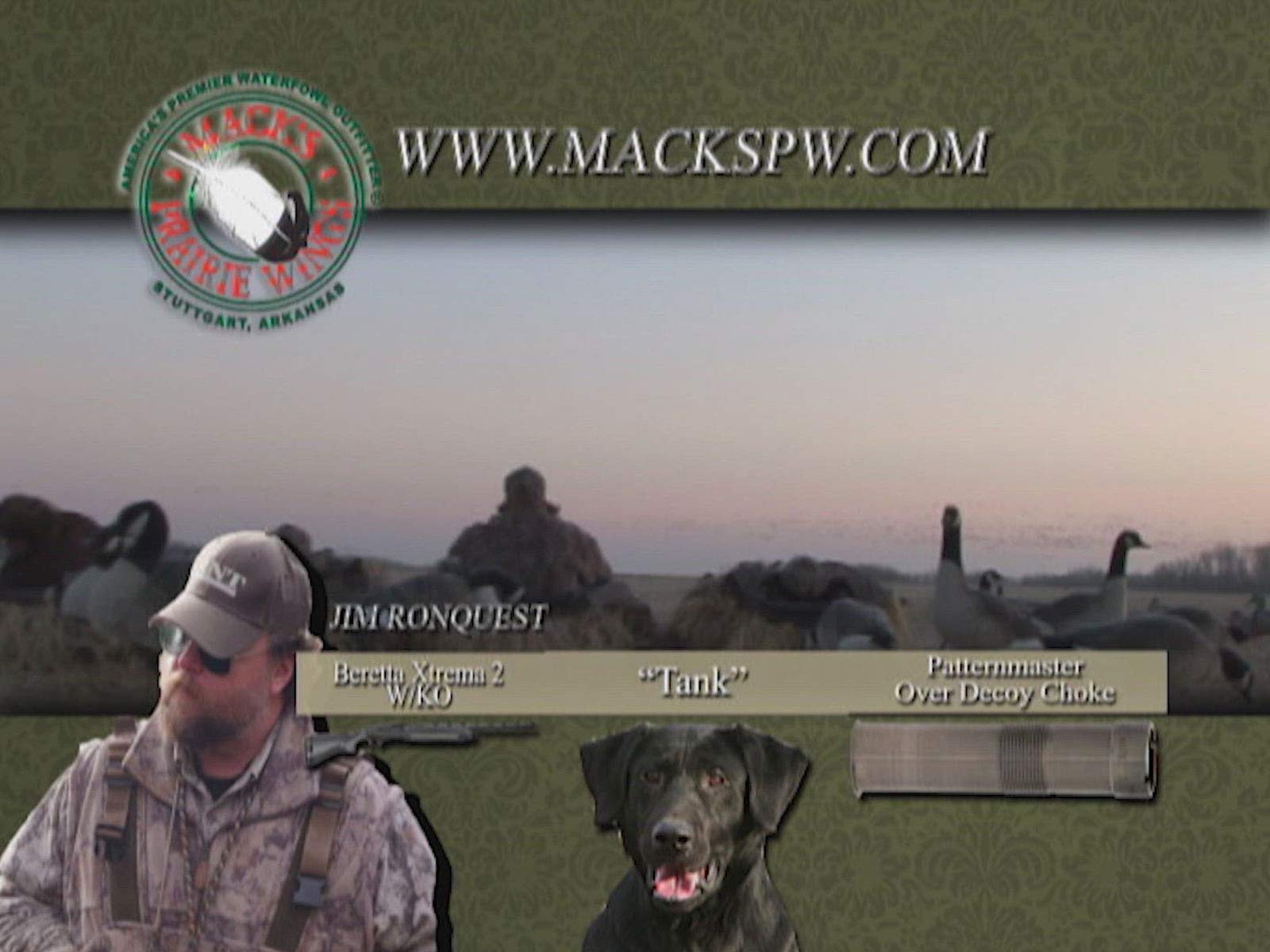 Watch RNT-V - Season 2 | Prime Video