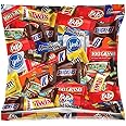 Amazon.com: Assorted Chocolate Variety Pack - Individually Wrapped ...