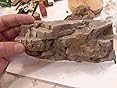Amazon.com: Rock Mold, Facet Rock : Arts, Crafts & Sewing