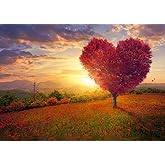 Amazon.com: Wonder Forge Tiger Family 1000 Piece Jigsaw Puzzle for ...