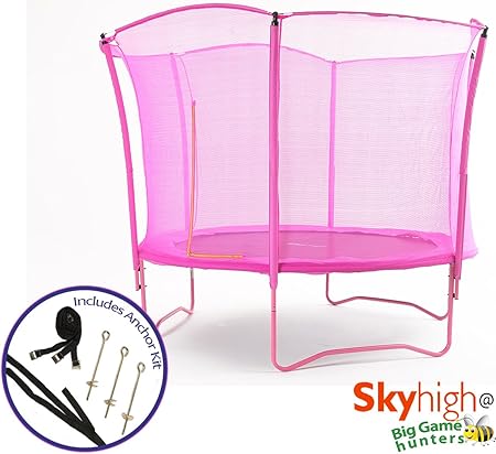 10ft Pink Trampoline and Safety Enclosure. Beautiful Flower Petal ...