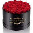 Amazon.com: NATROSES 27 Piece Forever Preserved Roses in a Box ...