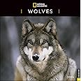 Amazon.com: National Geographic: Wolves 2024 Wall Calendar ...
