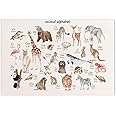 Amazon.com: ARBOMG Animal Alphabet Chart Kids Educational Poster Animal ...