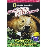 Amazon.com: National Geographic's Really Wild Animals Gift Set : Movies ...