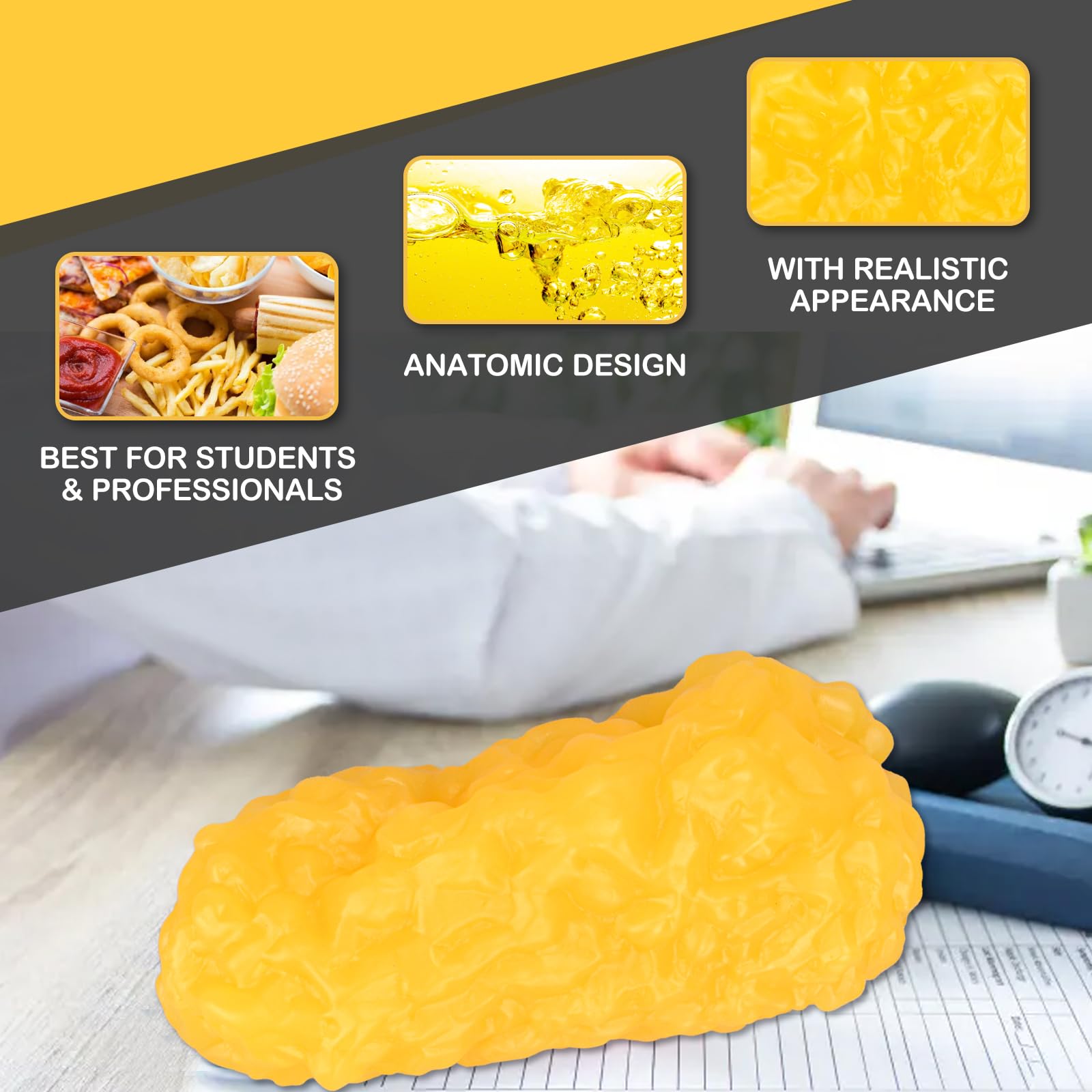 Mua Human Body Muscle & Fat Replica 1lb with Display Base, Silicone ...