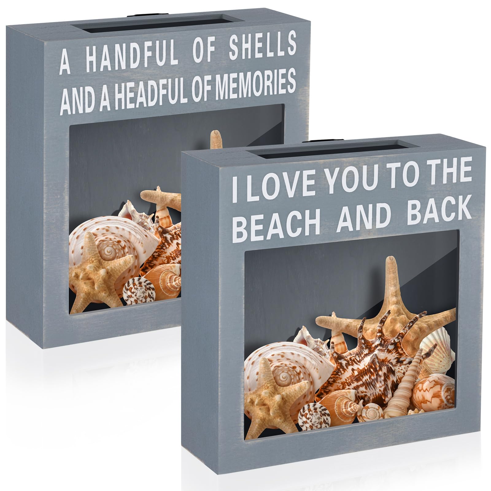Juexica 2 Pcs Seashell Holder Seashell Display Box Beach Room Decor ...
