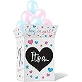 Amazon.com: Willa Flare Gender Reveal Box with Sealing Stickers - Fun ...