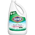 Amazon.com: Clorox Clean-Up All Purpose Cleaner with Bleach Original ...