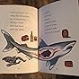 Amazon.com: Hungry, Hungry Sharks (Step-Into-Reading, Step 3 ...
