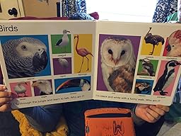 My Big Animal Book (My Big Board Books): Roger Priddy: 9780312511074 ...
