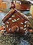 Amazon.com: Wilton Build It Yourself Gingerbread Camper Decorating Kit ...