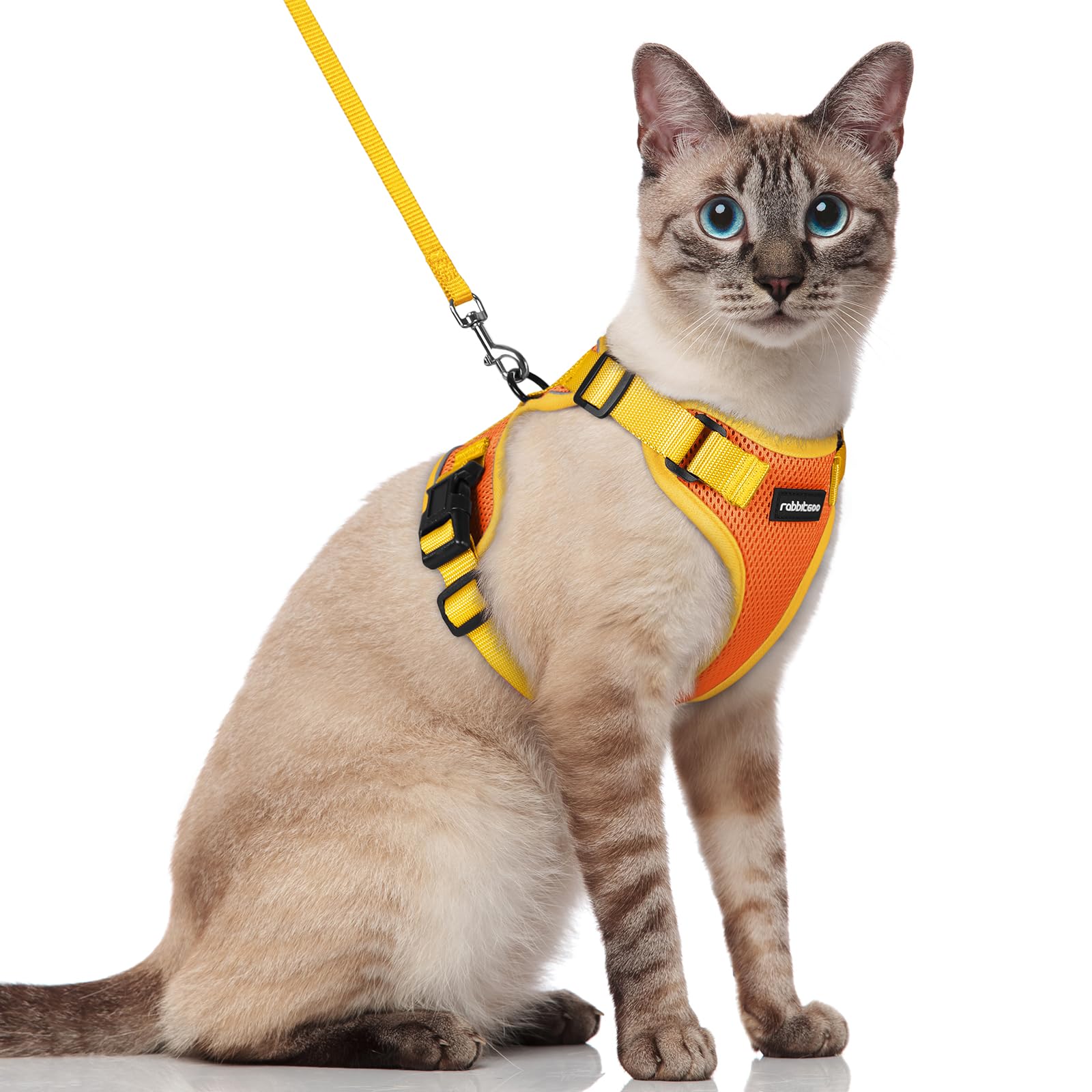 rabbitgoo Cat Harness and Leash Set, Escape Proof Soft Adjustable Vest ...