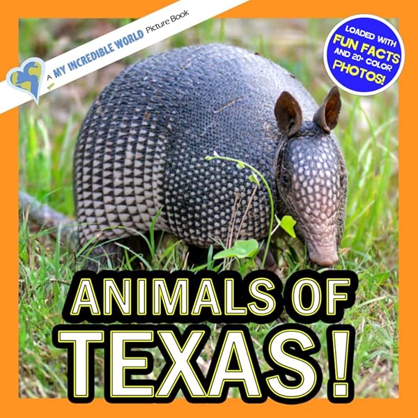 Texas Roadhouse Andy Armadillo Coloring Pages [2025]