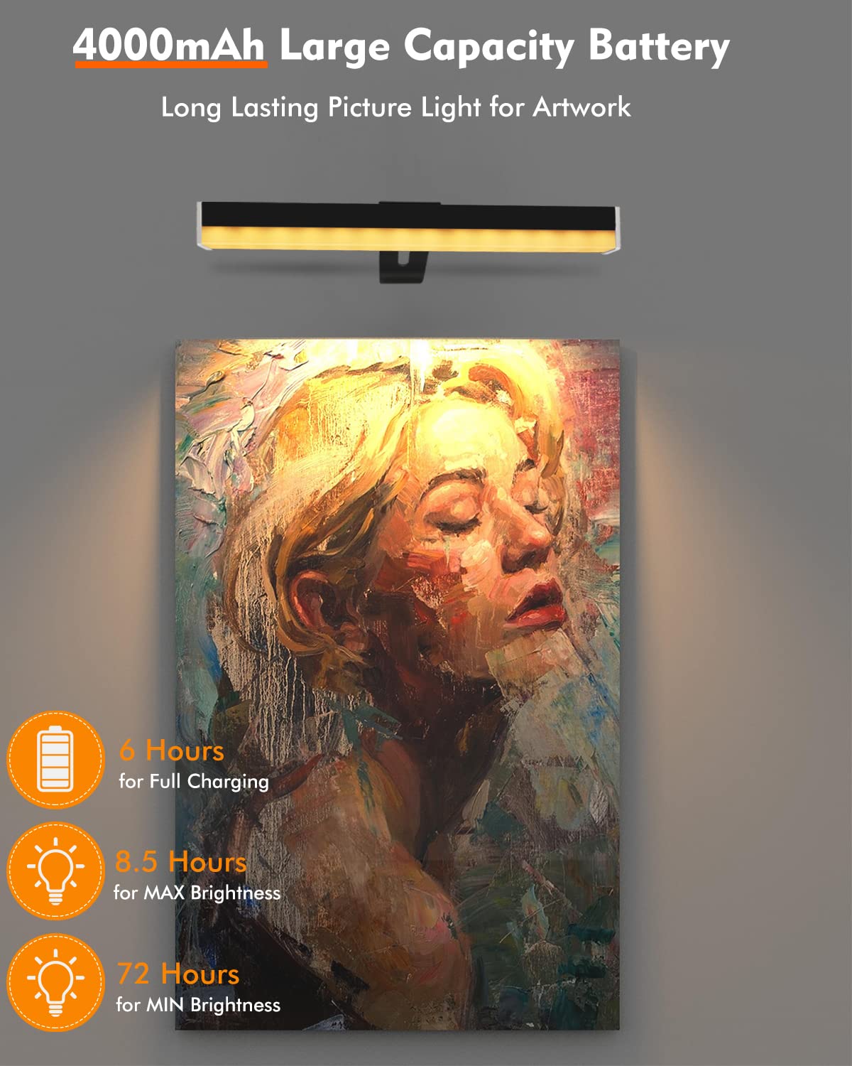 Mua Meagoo Picture Light, 4000mAh Rechargeable Picture Frame Lamp with ...