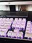 Amazon.com: ROTTAY Rainbow Backlit Mechanical Keyboard, White Gaming ...
