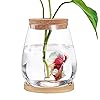 Betta Fish Tank - Mini Bowls for Beta Fish, Aquaponic Fish Tank Clear ...