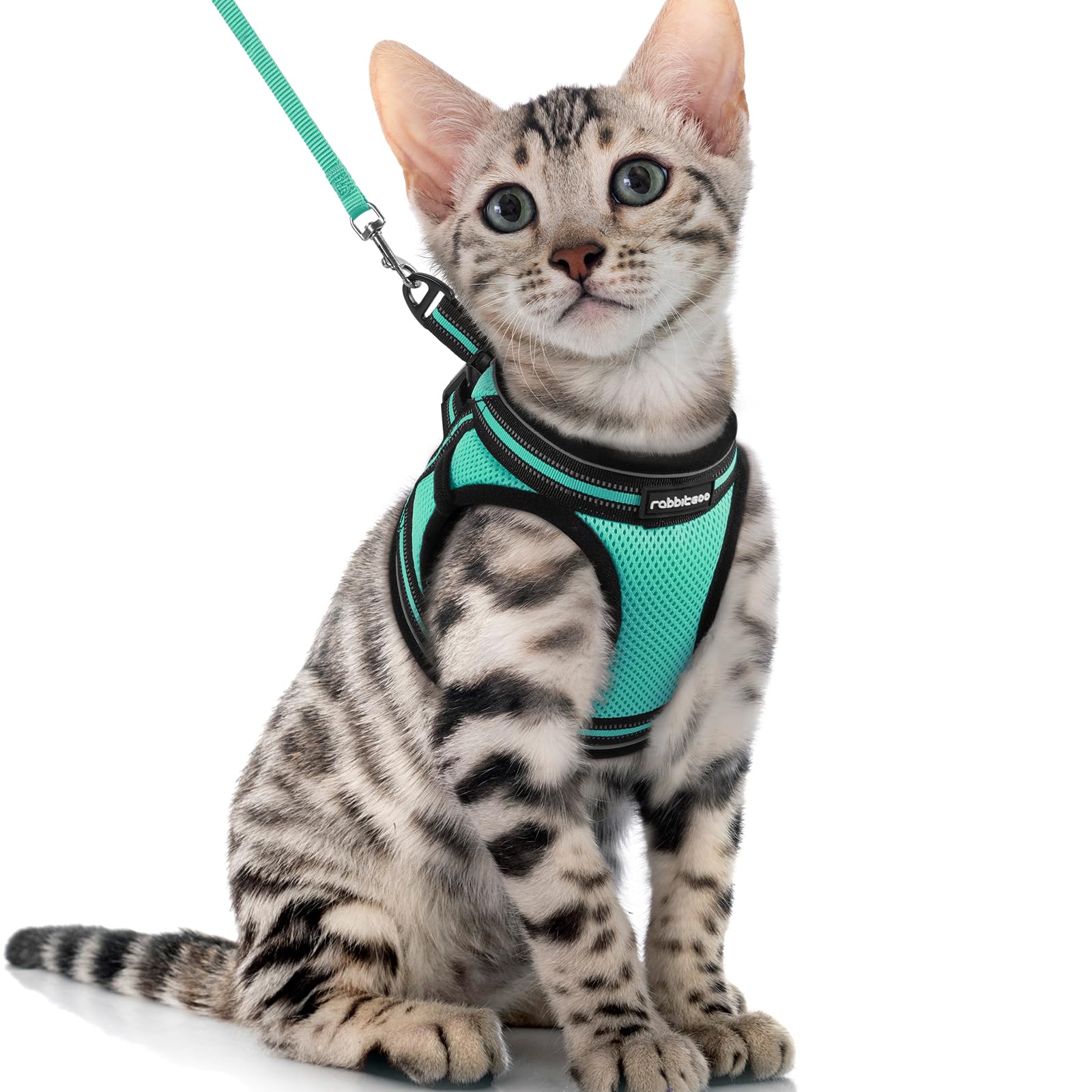 rabbitgoo Cat Harness and Leash Set for Walking Escape Proof ...