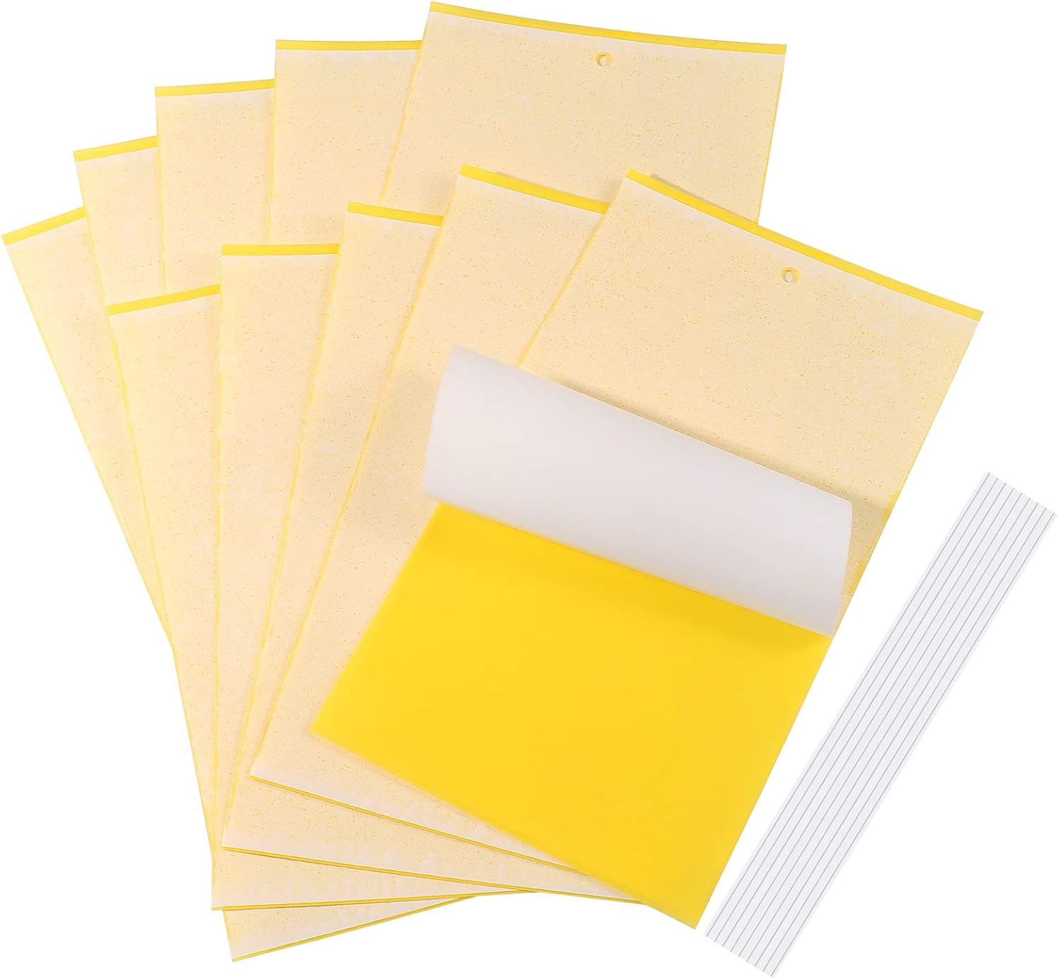 Yardwe Insect Glue Boards 15x25cm Double Sided Sticky Pest Fly Bugs ...