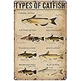 Amazon.com: Vintage Fishing Metal Sign Types of Catfish Knowledge Tin ...