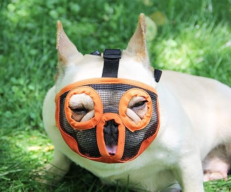 Amazon.com : Short Snout Dog Muzzles - Real Pet Adjustable Breathable ...