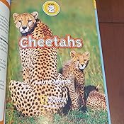 Amazon.com: National Geographic Readers: Cheetahs (8601200553413 ...