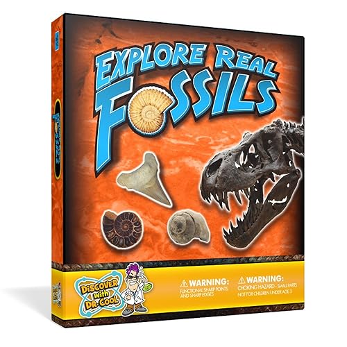 Discover with Dr. Cool Starter Fossil Science Kit in Kenya | Whizz Science