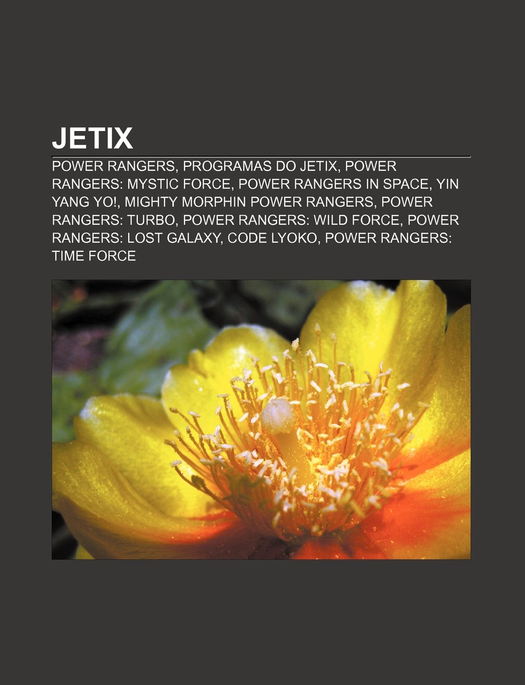 Jetix: Power Rangers, Programas Do Jetix, Power Rangers: Mystic Force ...