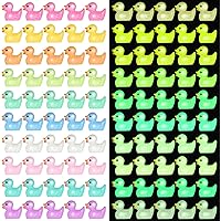 Mini patos de resina luminosos pequeños patos en miniatura, cifras de ...