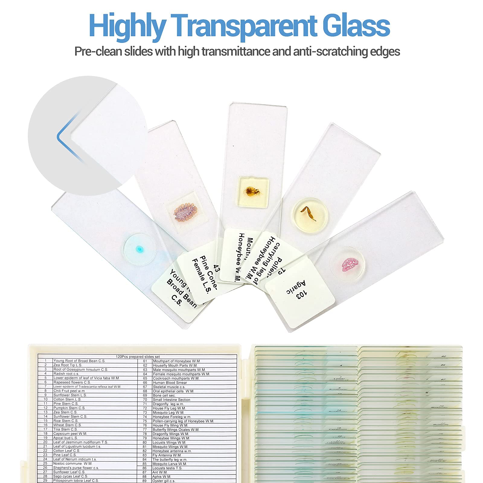 120+60 Microscope Slides With Specimens, Prepared Microscope Slides For ...