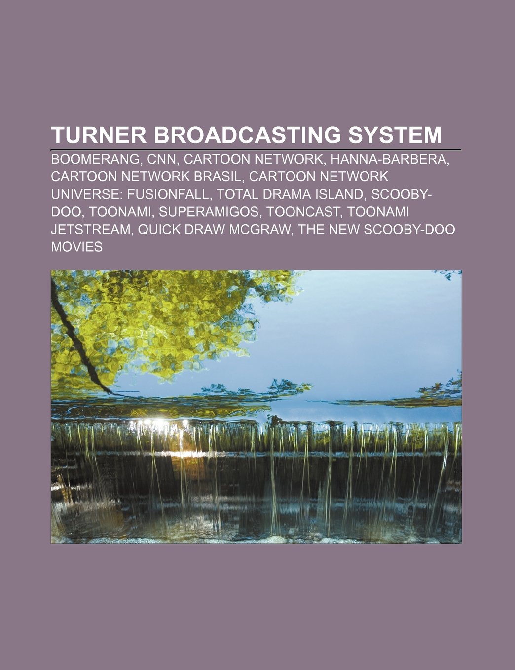 Turner Broadcasting System: Boomerang, CNN, Cartoon Network, Hanna ...