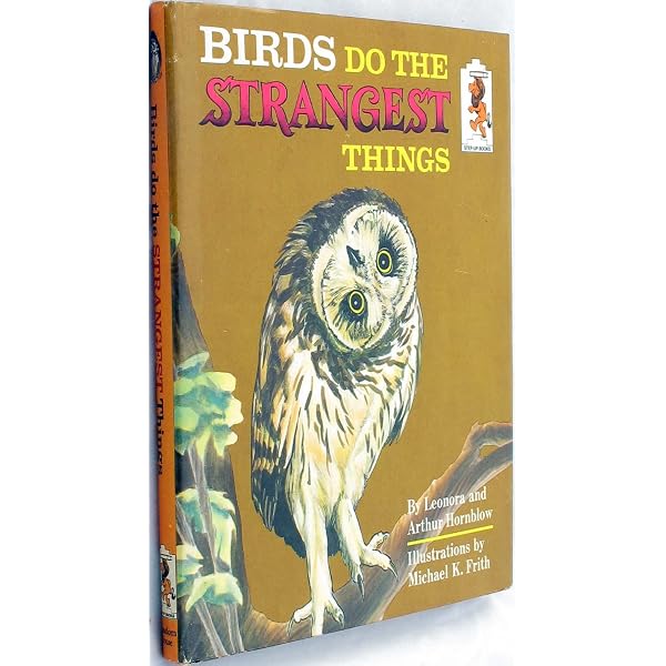 Animals Do The Strangest Things MinuteEarth (@minuteearth) Island