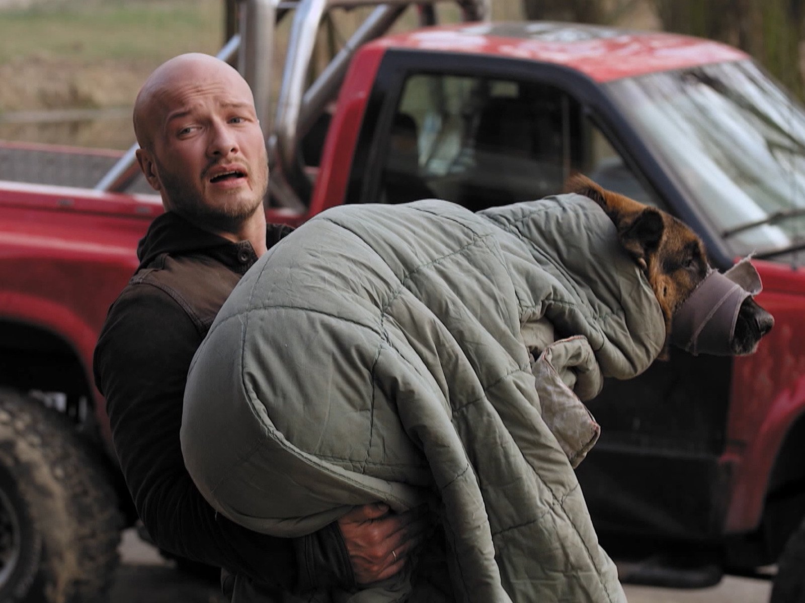 Watch The Dog | Prime Video