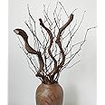 Amazon.com: Dried Thick Curly Willow Branches Rattan Trunk Flexible ...