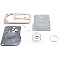 Amazon.com : Genuine Briggs & Stratton 393397 Fuel Pump Kit : Lawn And ...