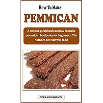 Pemmican Recipe Ground Beef | Bryont Blog