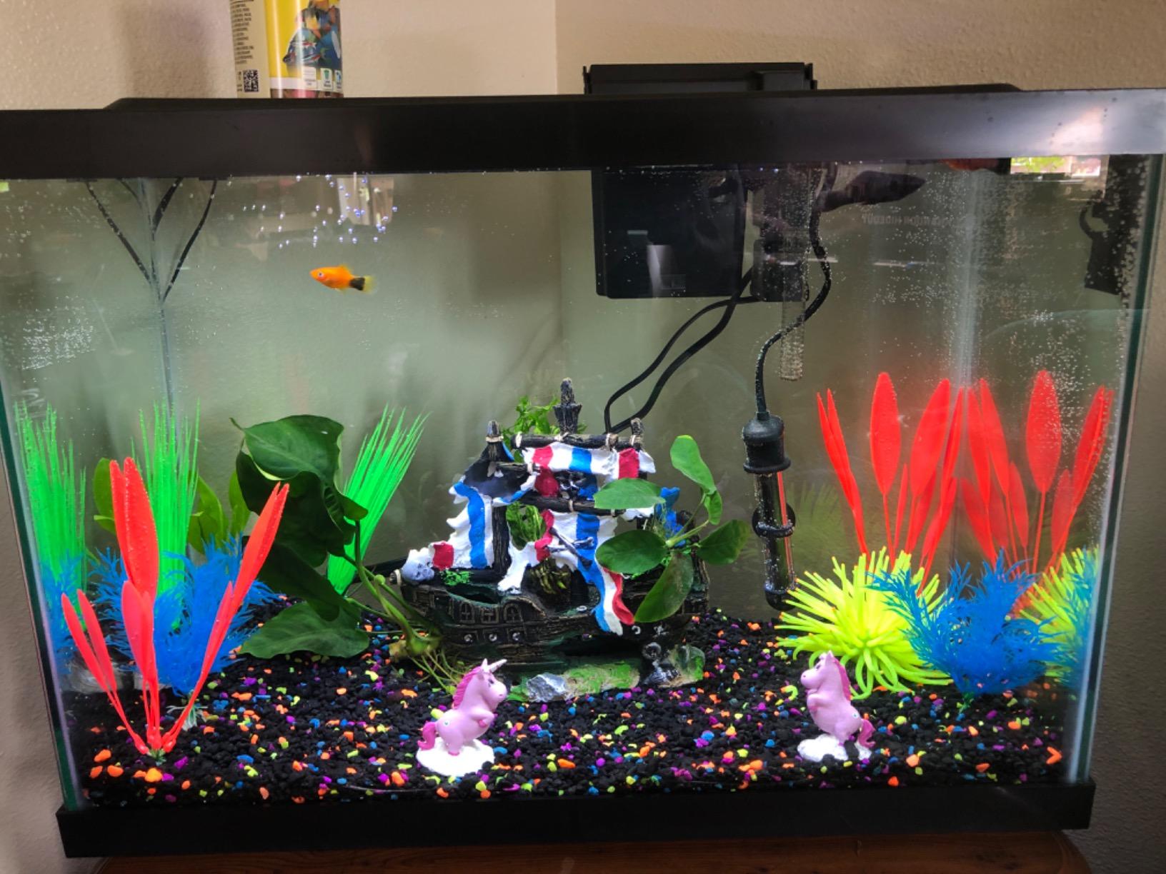 $22/mo - Finance GloFish 20 Gallon Aquarium Kit with LED Lights, Decor ...